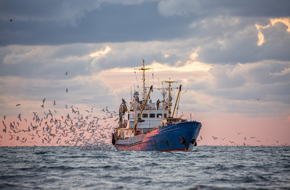 Fishing | Maritime Connectivity | Castor Marine